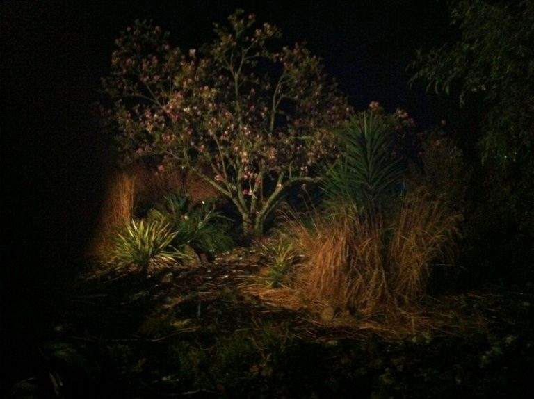 Snail Patrol – Cowboy Boots & Broken Fingers